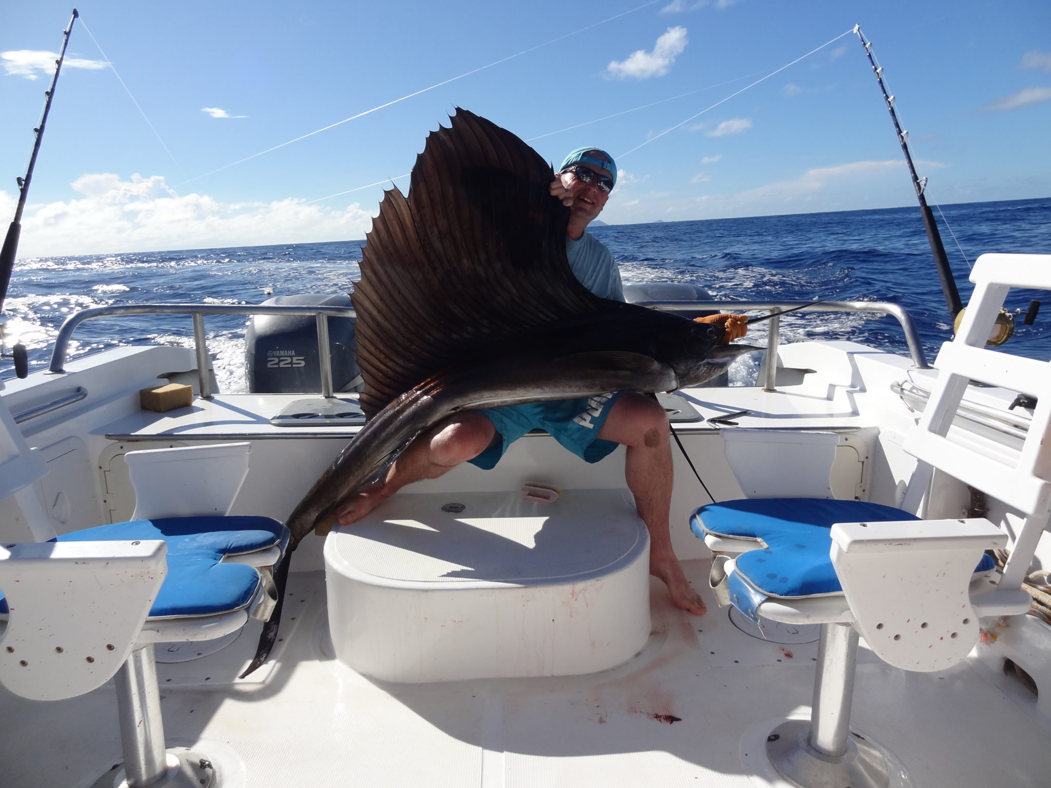 Memory Wall Archive - Headcase